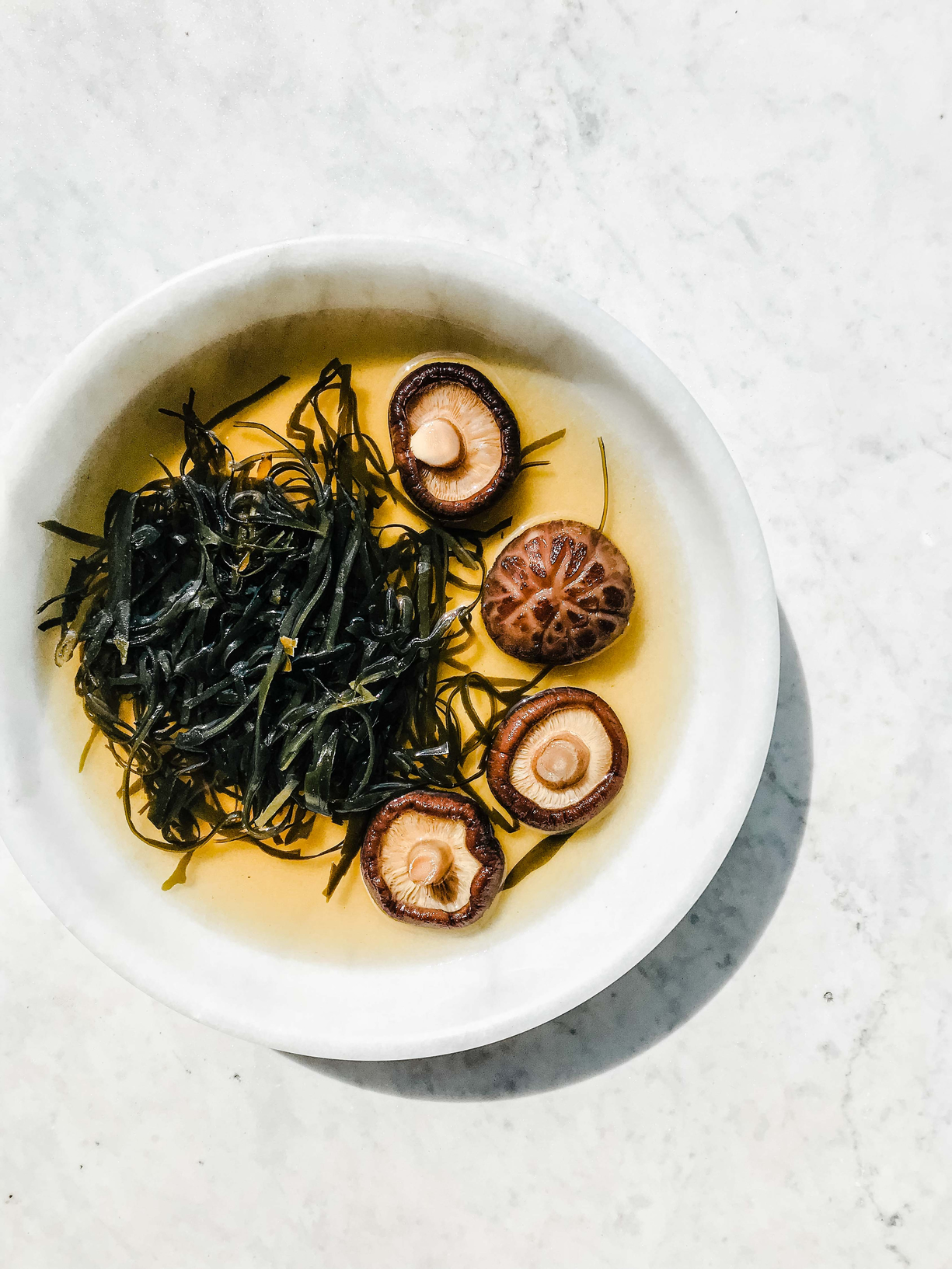 De kracht van zeewier - workshop - Gimsel Academy